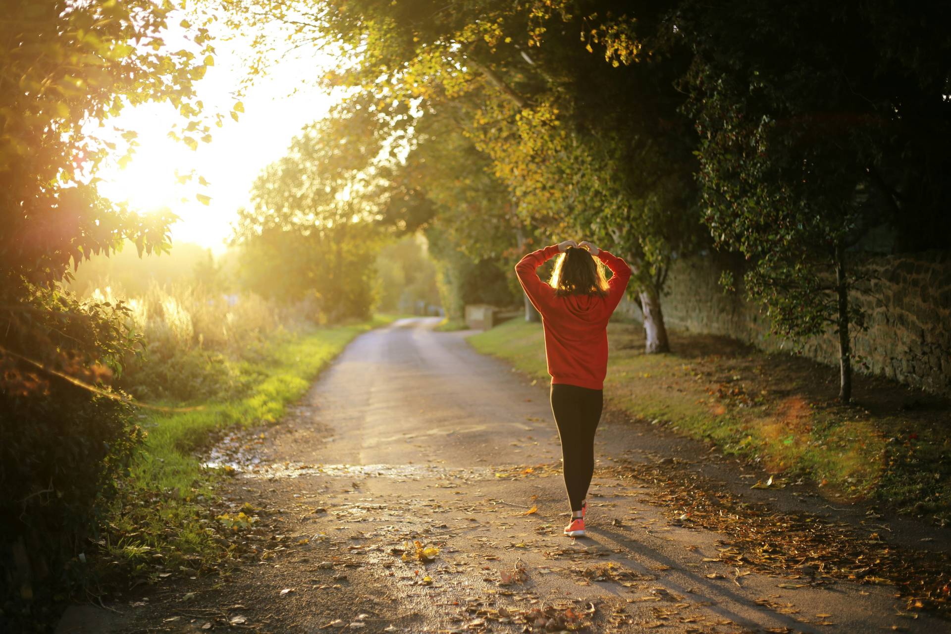 Beginner’s guide to zone 2 running: How to build endurance and improve ...