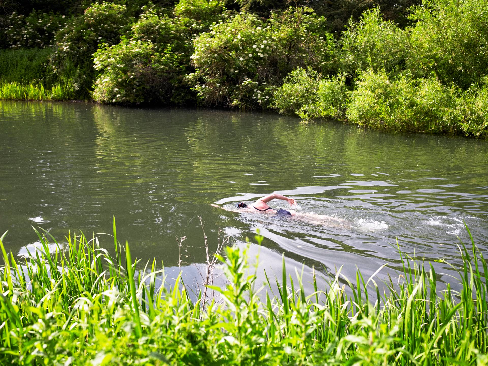 River swimming for beginners: how to swim in rivers | 220 Triathlon